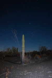 “El Pinacate”: Área Protegida, Patrimonio de la Humanidad, Maravilla de ...
