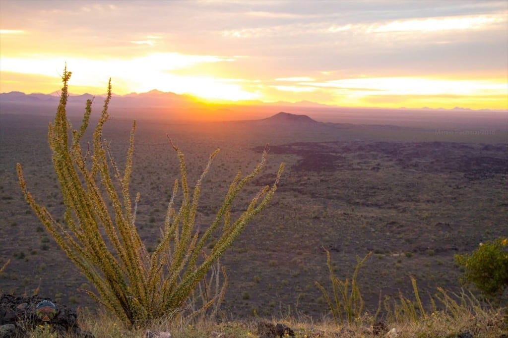 “El Pinacate”: Área Protegida, Patrimonio de la Humanidad, Maravilla de ...