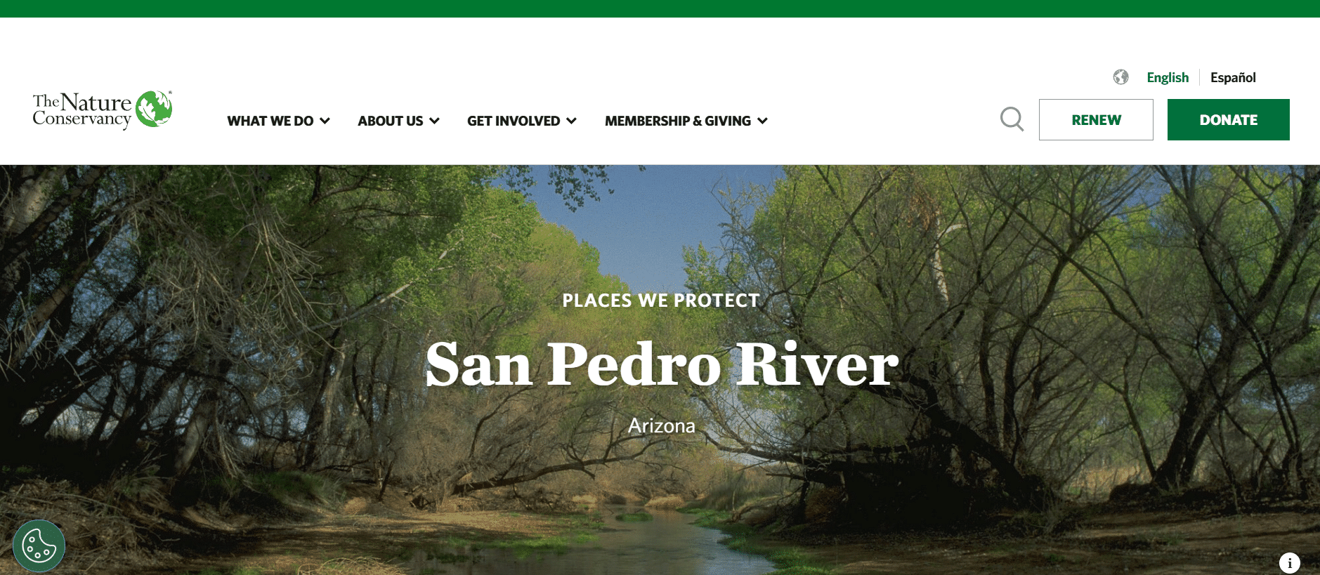 El río San Pedro, en la frontera con México, es clave para las ...